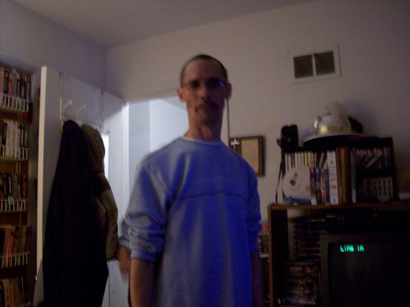 john the cat (3010419)